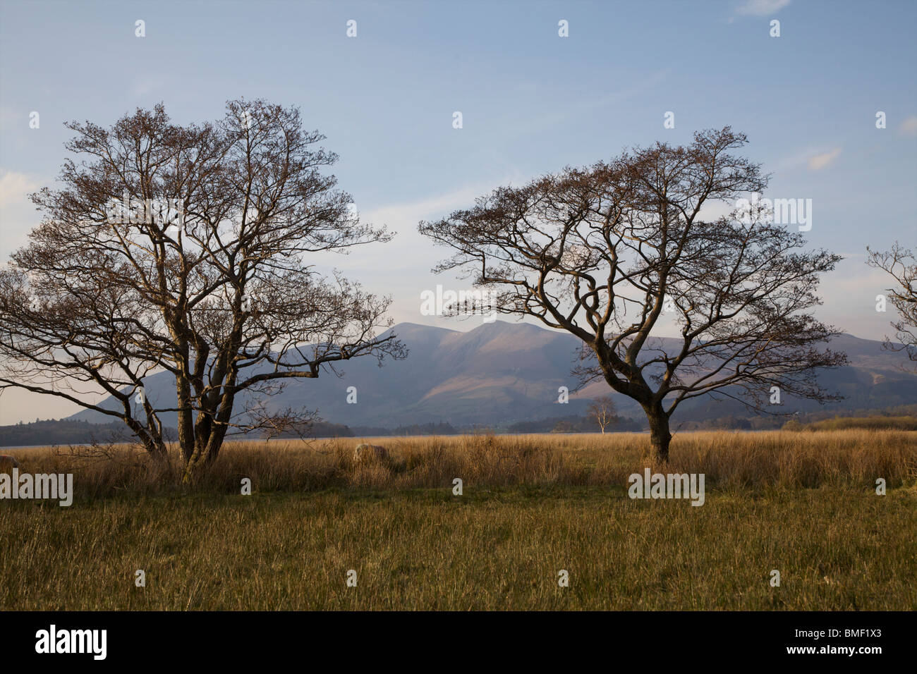trees and hills Derwent Water Lake DIstrict Cumberland England Stock ...
