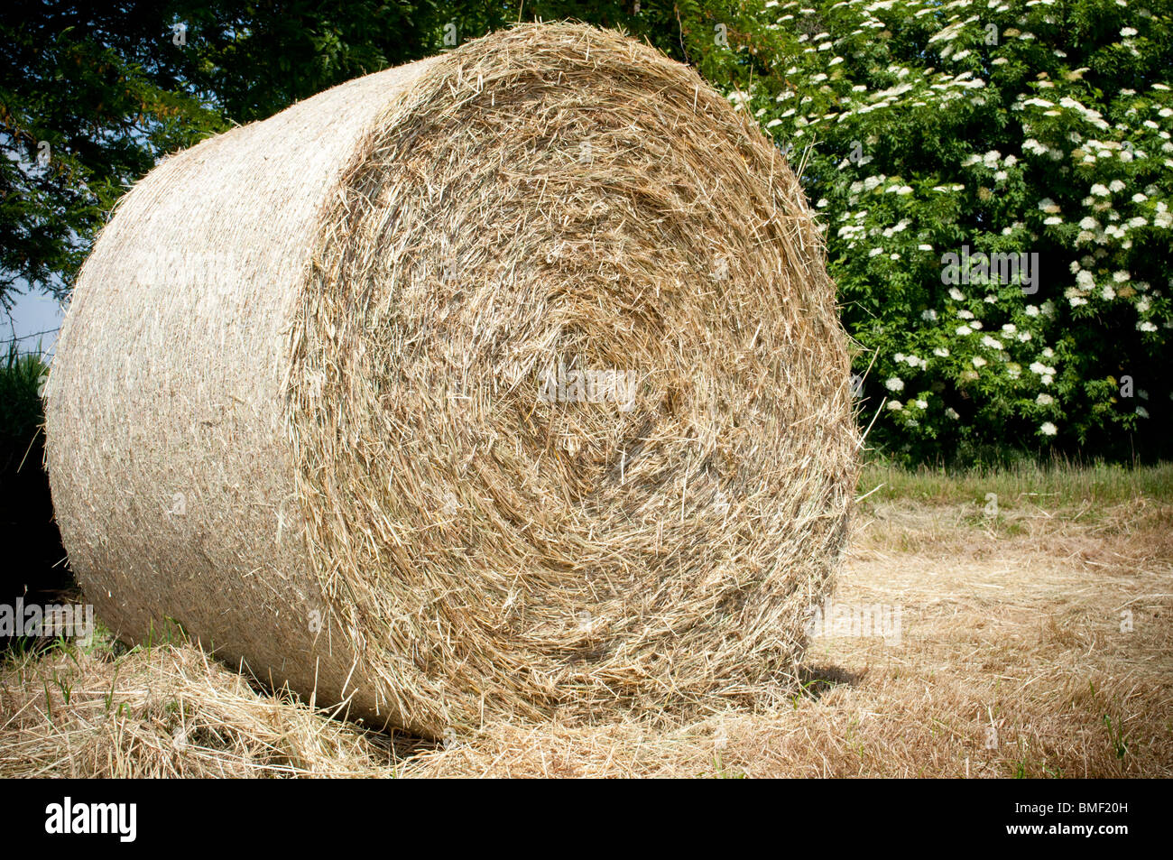 Ball detail hi-res stock photography and images - Alamy