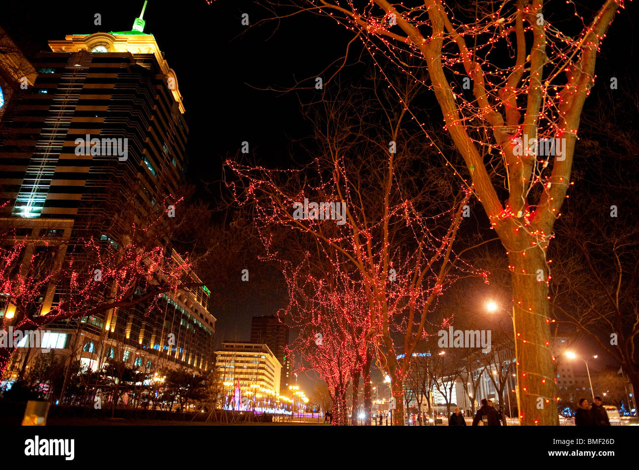 Christmas lights on trees hi-res stock photography and images - Alamy