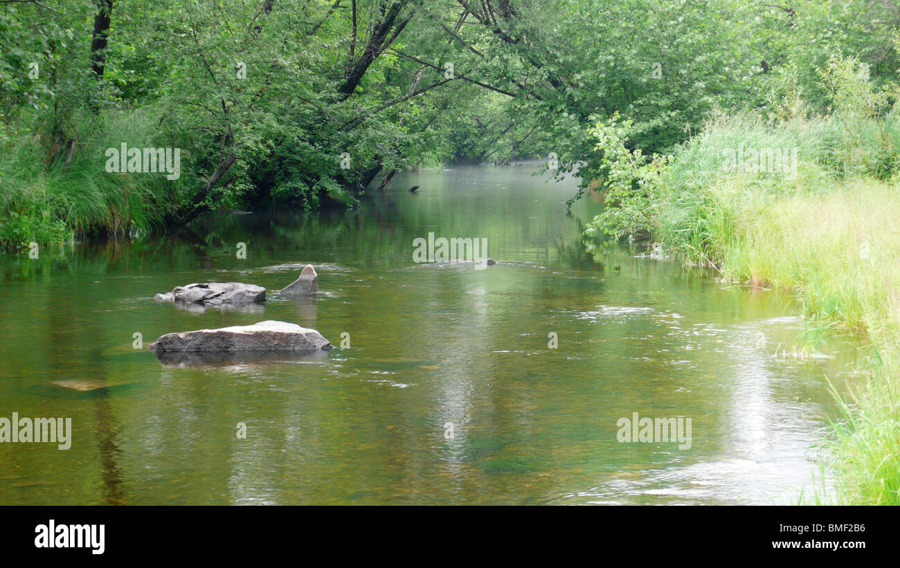 Gaxian Cave Forest Park, Daxing'anling, Heilongjiang Province, China ...