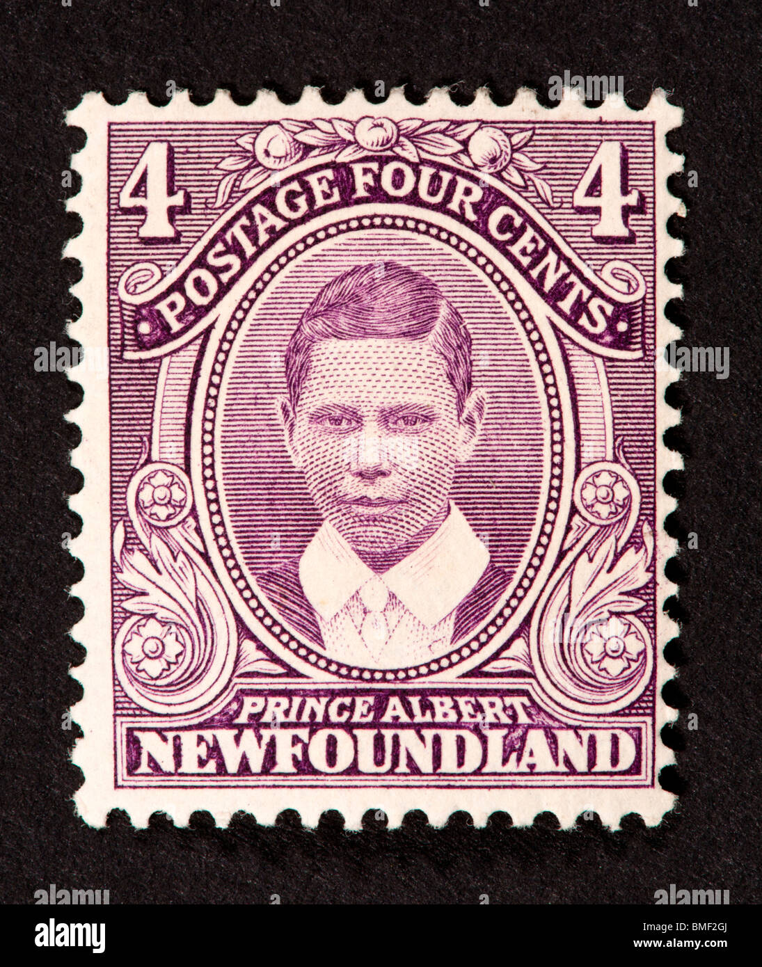 Postage stamp from Newfoundland depicting Prince Albert Stock Photo - Alamy