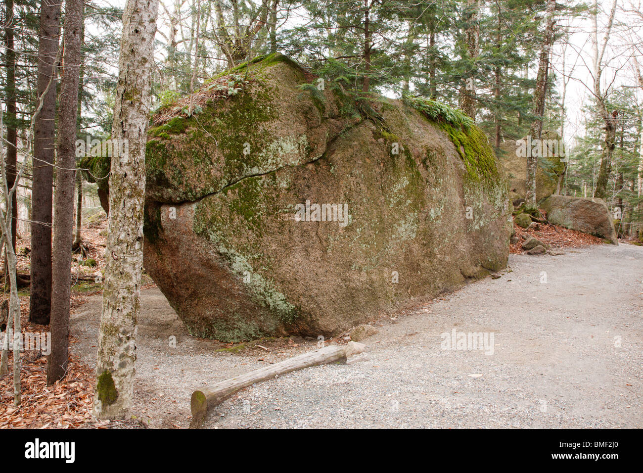 Franconia Notch State Park - Glacial Boulders along a walking trail at ...