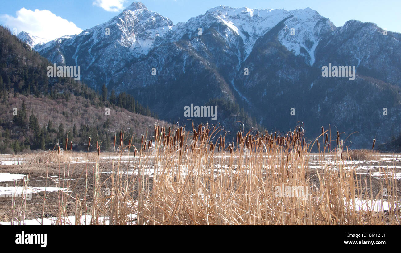Mountain range, Dagu Glacier Scenic Area, Dagu Natural Reserve, Aba ...