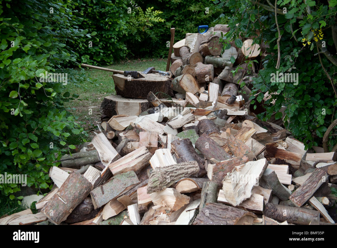 Log pile in the garden, Hampshire, England Stock Photo - Alamy