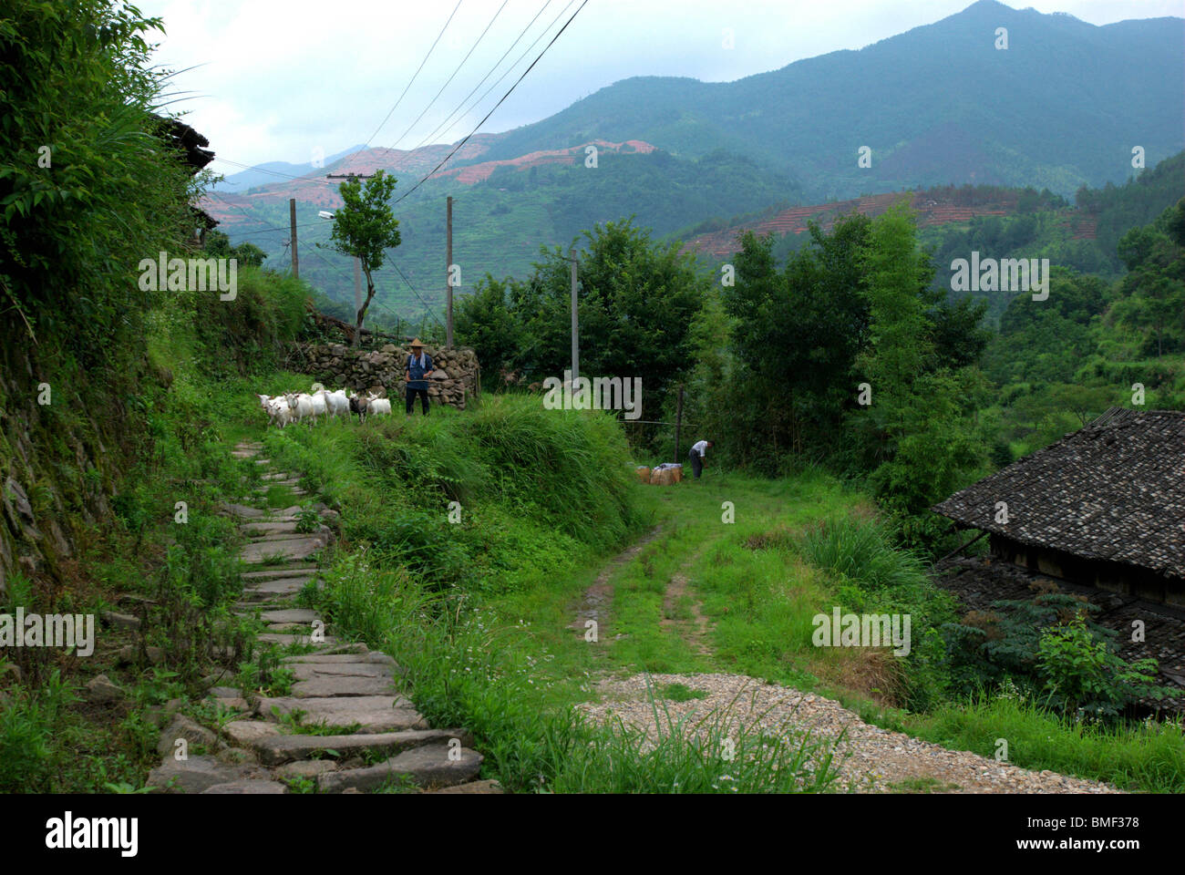 Yongjia road hi-res stock photography and images - Alamy