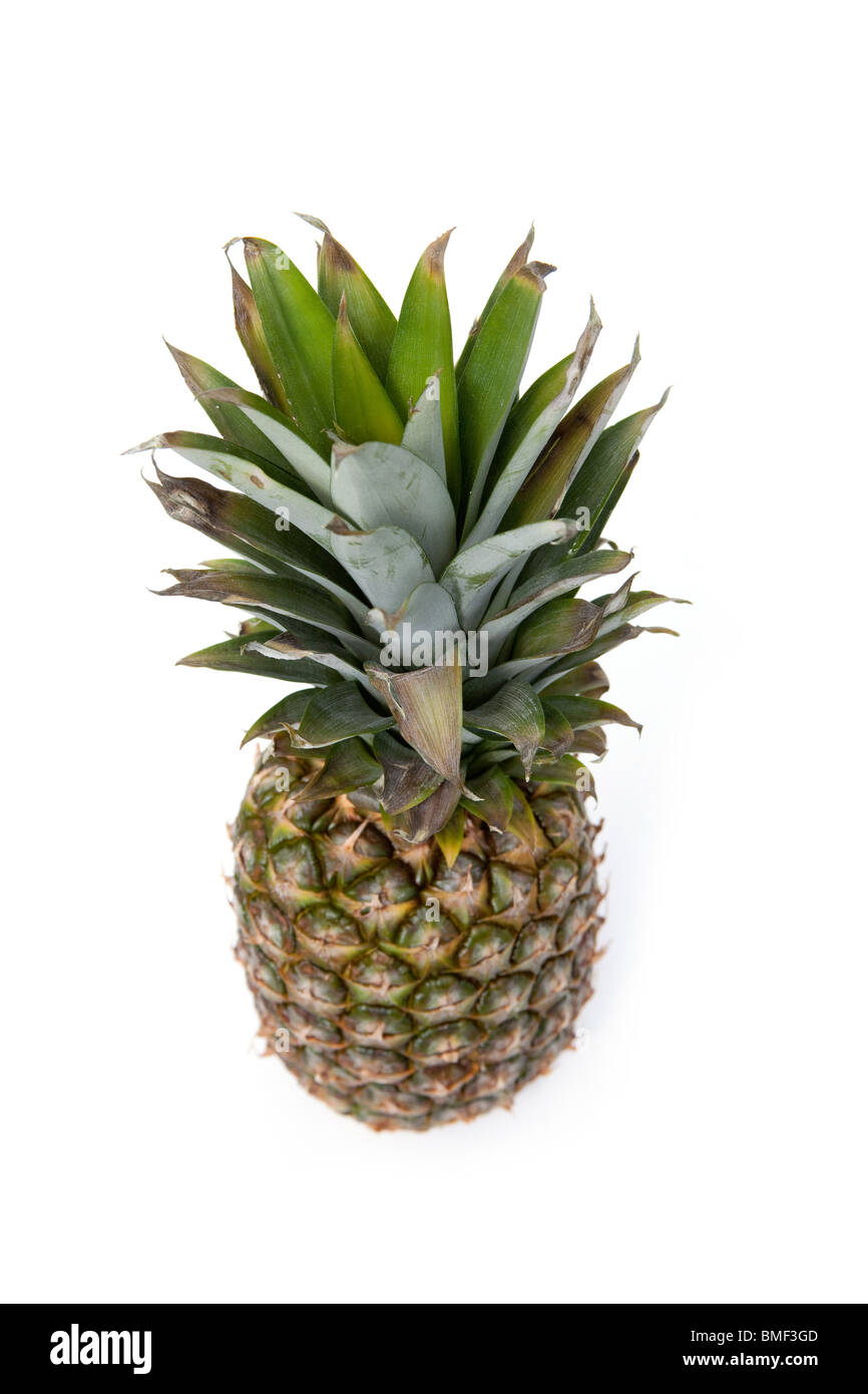 Pineapple whole isolated on a white studio background Stock Photo - Alamy