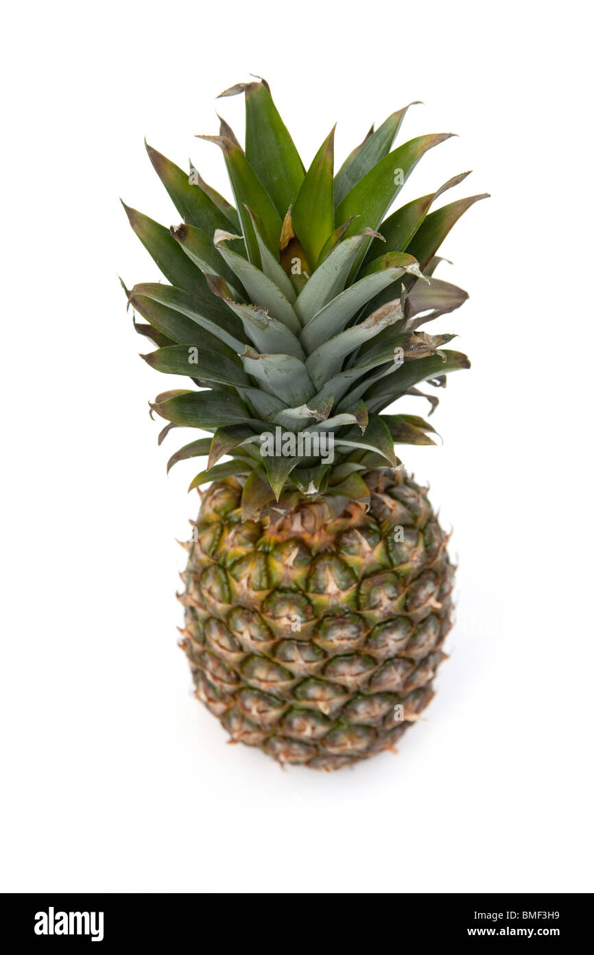 Pineapple whole isolated on a white studio background Stock Photo - Alamy