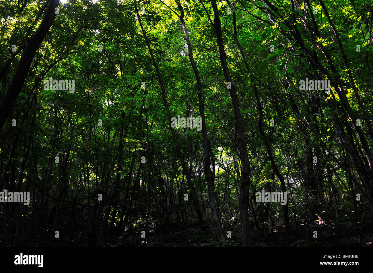 Taihang mountains hi-res stock photography and images - Alamy