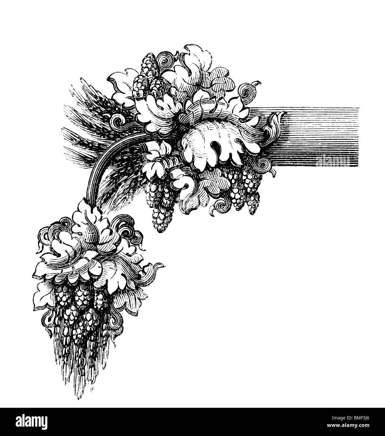 Black white sketch exhibition Cut Out Stock Images & Pictures - Alamy