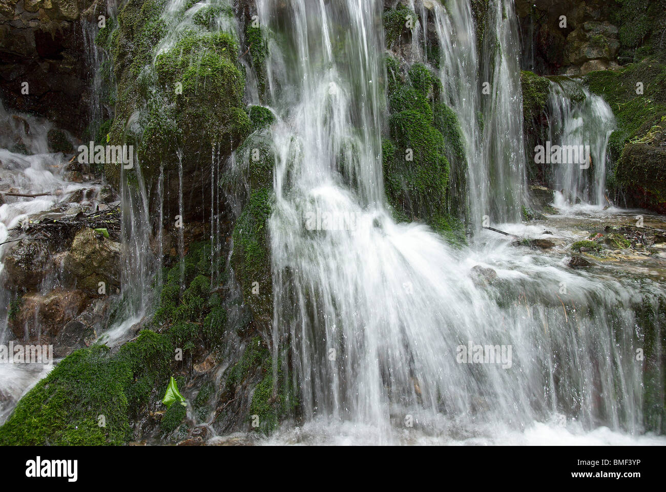 Spring water cascading over moss covered rocks Stock Photo - Alamy