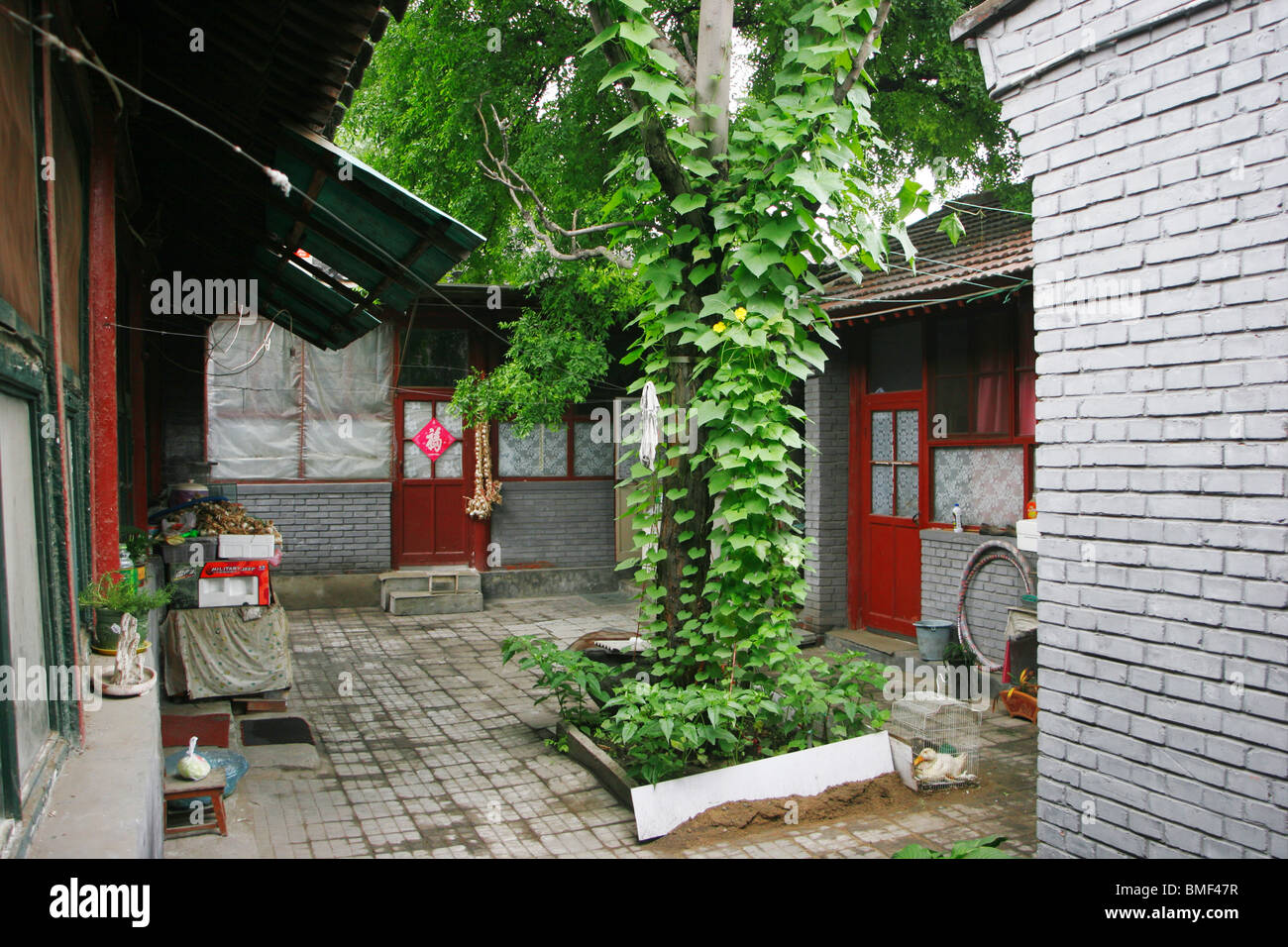 Beijing traditional courtyard house, Fuxue Hutong, Beijing, China Stock ...