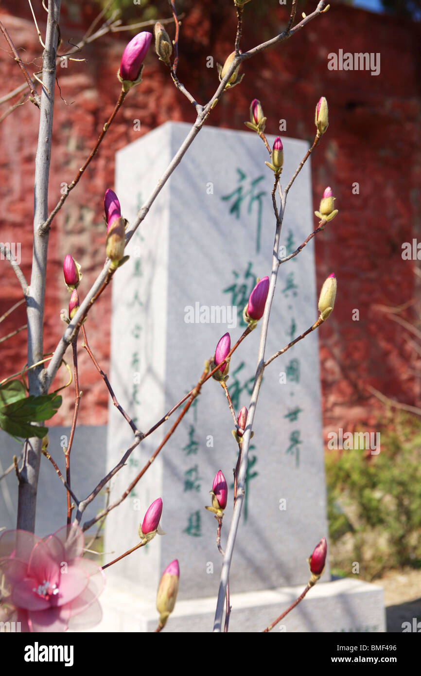 Memorial tablet in Heping Temple, Beijing, China Stock Photo - Alamy