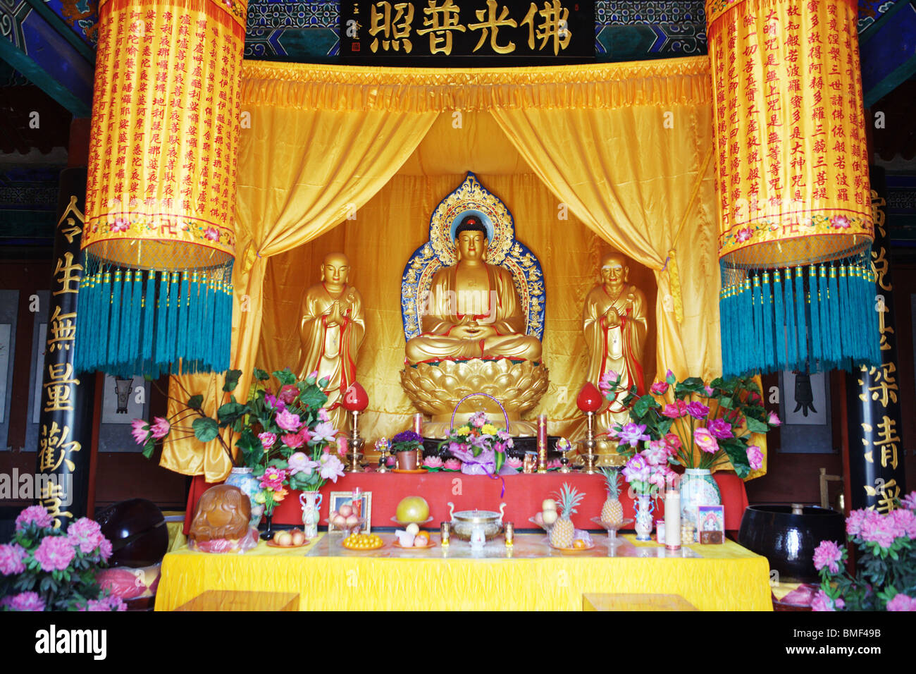 Gold gilded Shakyamuni statue in Heping Temple, Beijing, China Stock ...