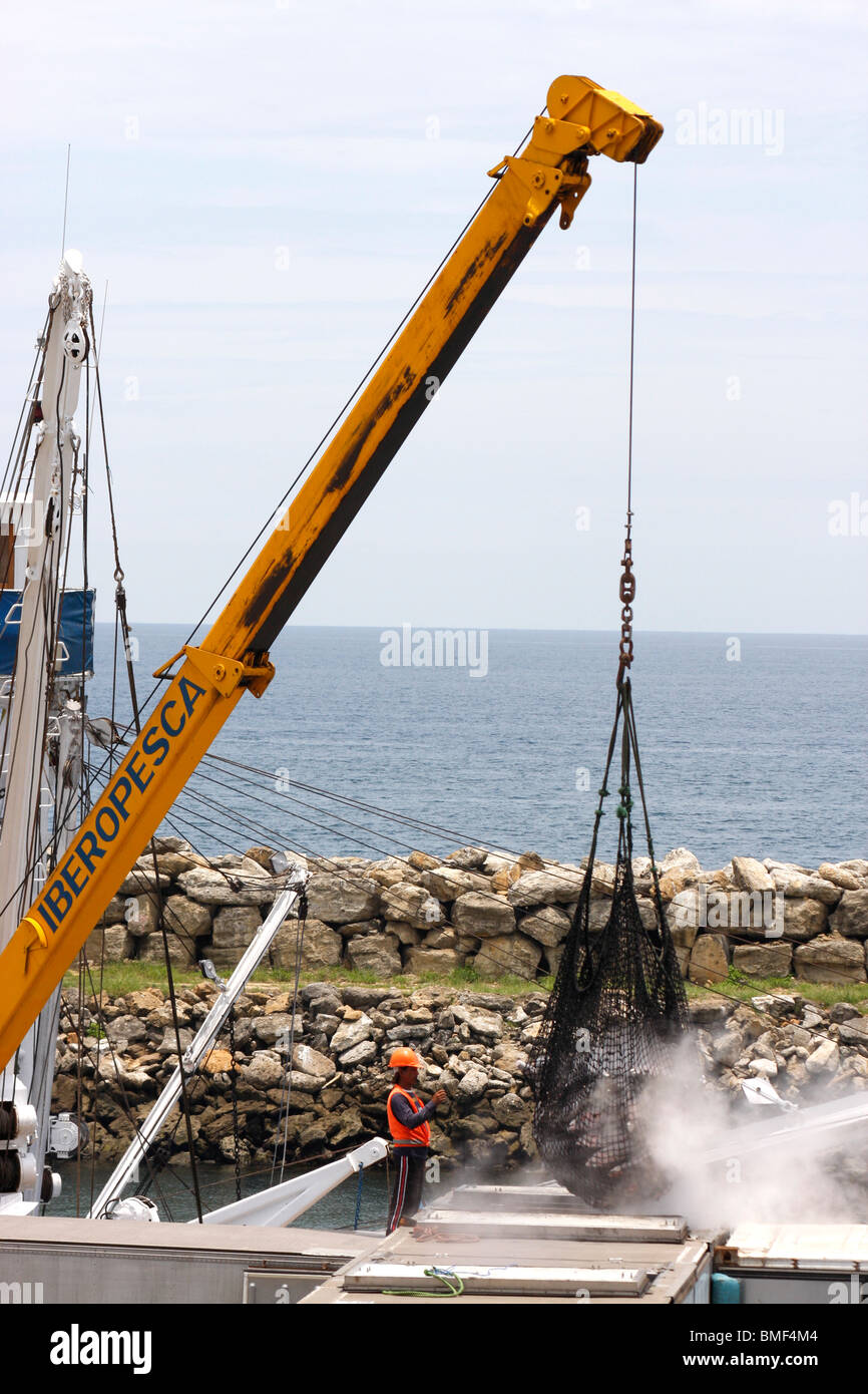 Unloading frozen tuna fish from a loaded fishing boat into refrigerated ...