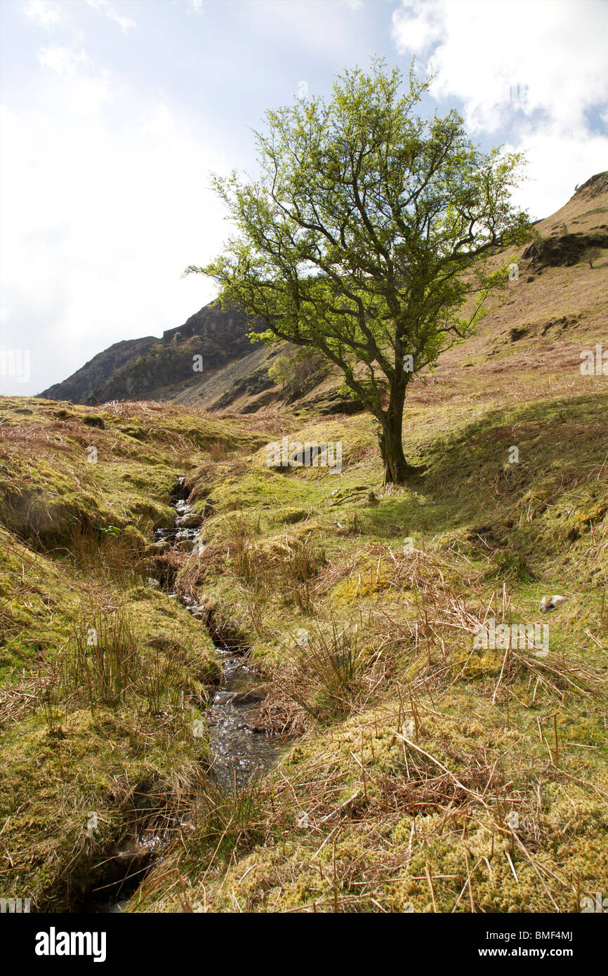 Stream and hills in Cumberland Lake District England Stock Photo - Alamy