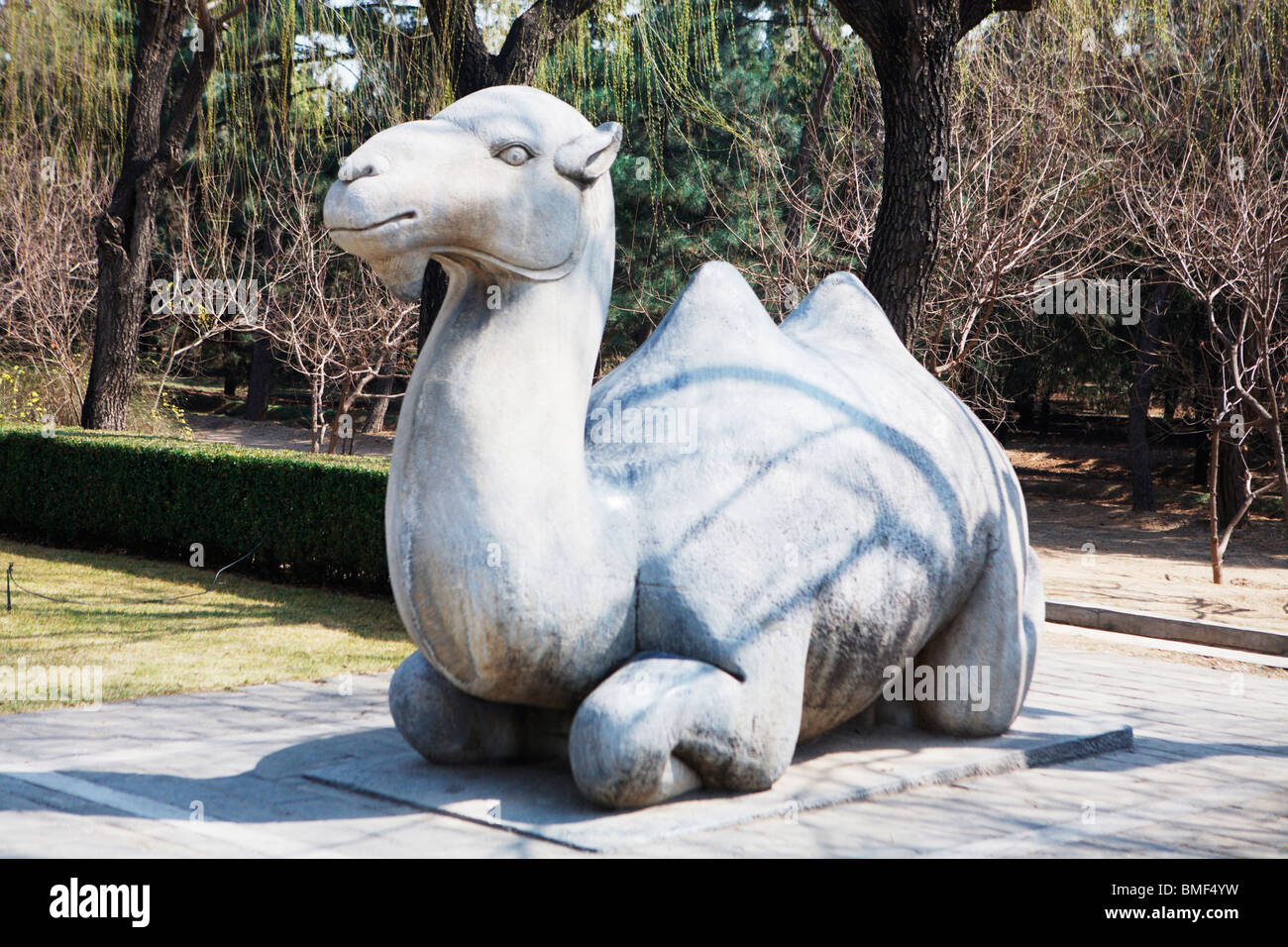 Stone camel on the Sacred Way, Ming Dynasty Tombs, Beijing, China Stock ...