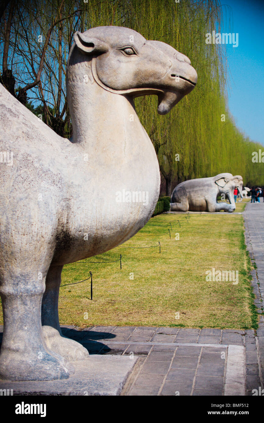 Sacred Way with stone statues, Ming Dynasty Tombs, Beijing, China Stock ...