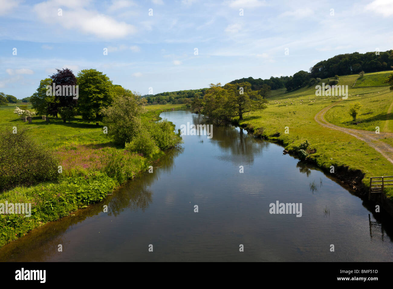 River Aln. Taken from Lion bridge in Alnwick Stock Photo - Alamy