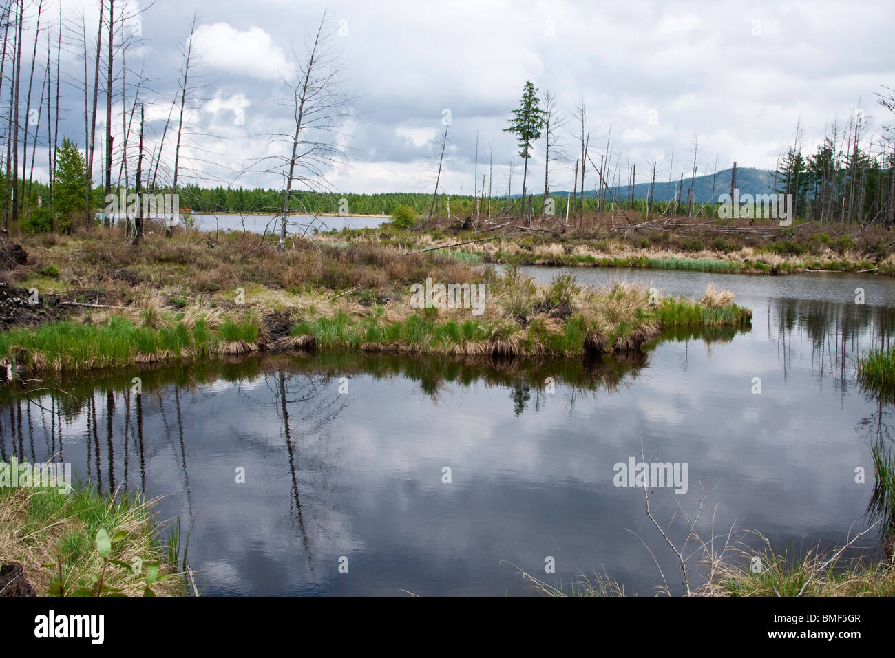 Azalea Lake in Arxan National Forest Park, Arxan, Hinggan League, Inner ...