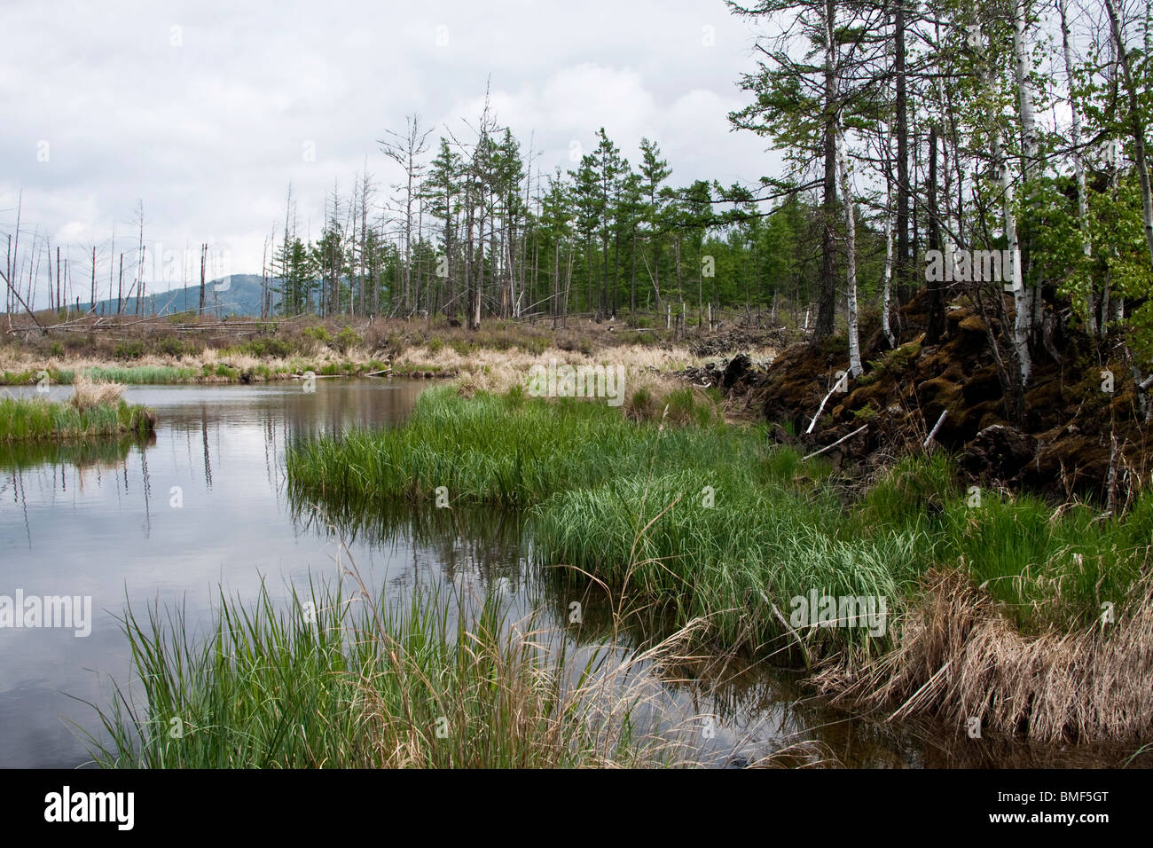 Azalea Lake in Arxan National Forest Park, Arxan, Hinggan League, Inner ...