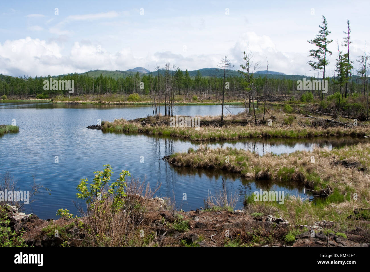 Azalea Lake in Arxan National Forest Park, Arxan, Hinggan League, Inner ...