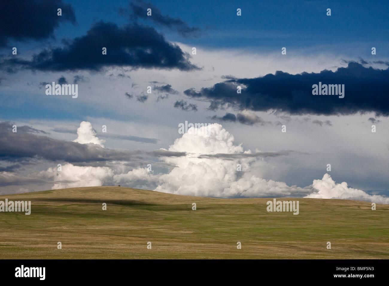 Hulun Buir Grassland, Hailar, Hulunbuir, Inner Mongolia Autonomous ...