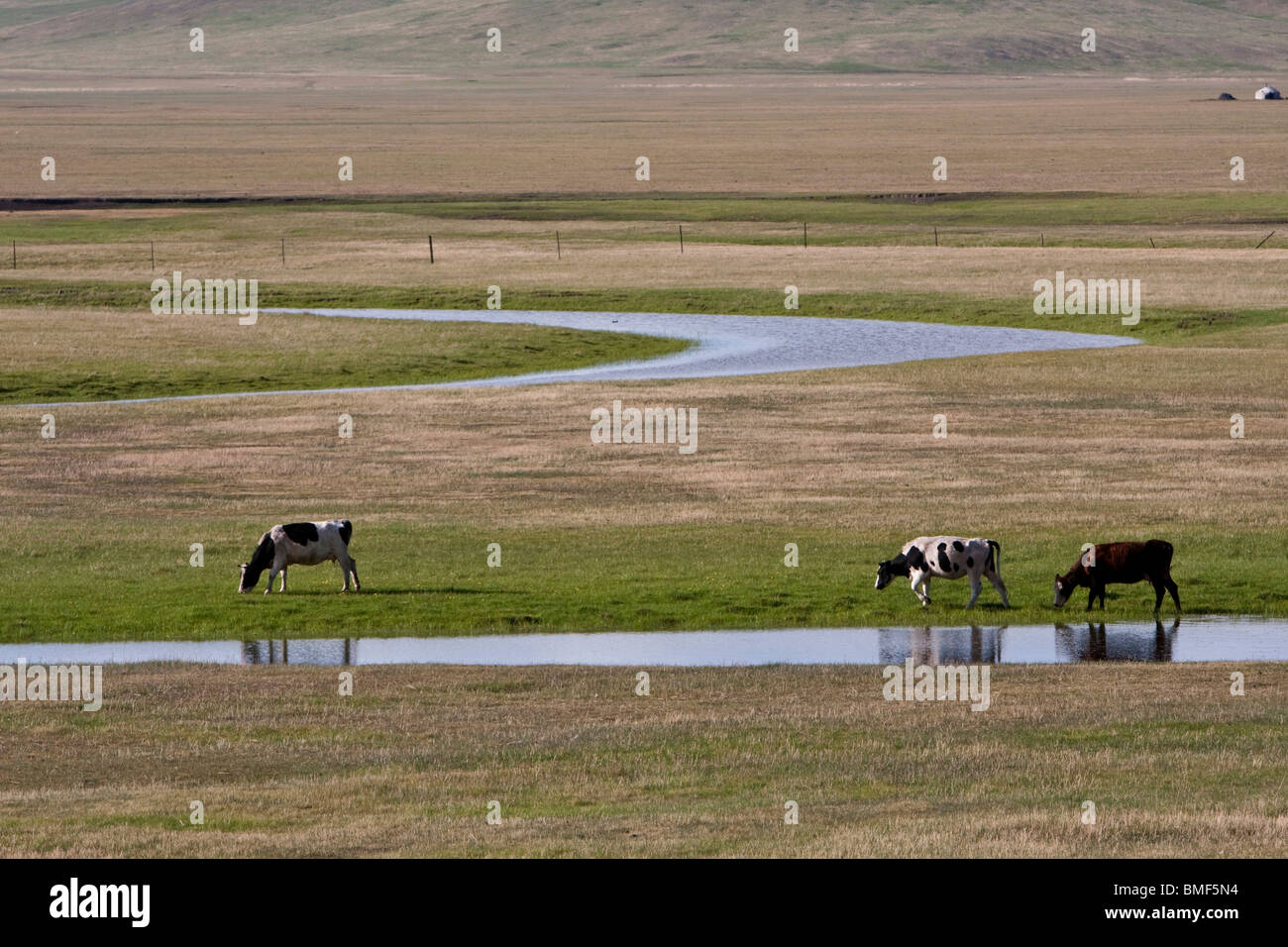 Hulun Buir Grassland, Hailar, Hulunbuir, Inner Mongolia Autonomous ...