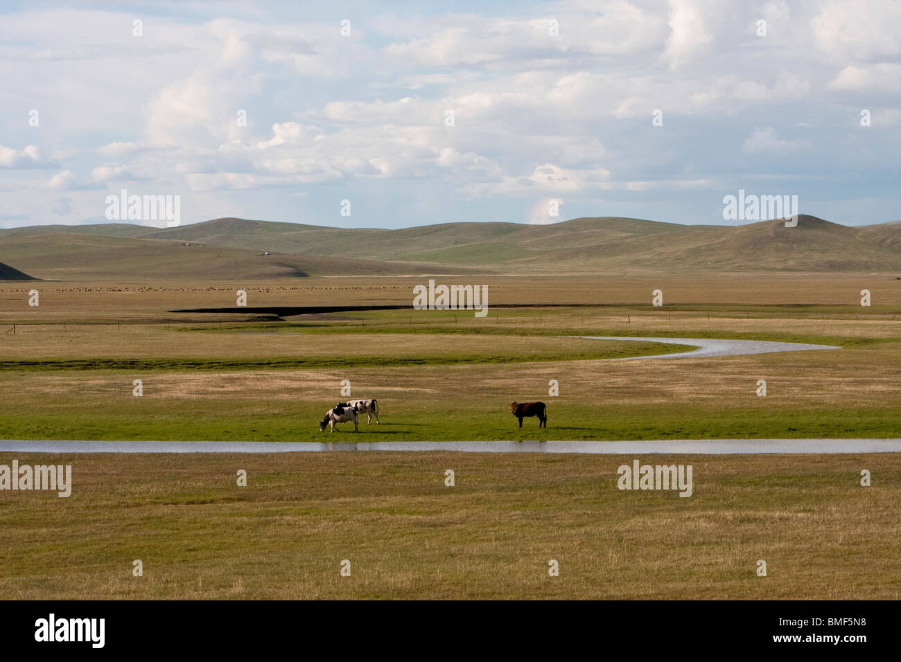 Limitless majestic hi-res stock photography and images - Alamy