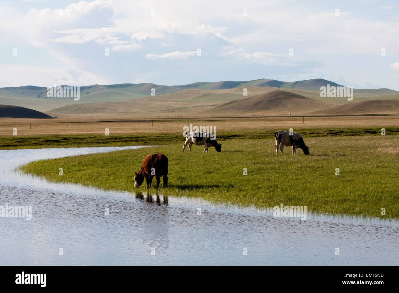 Hulun Buir Grassland, Hailar, Hulunbuir, Inner Mongolia Autonomous ...