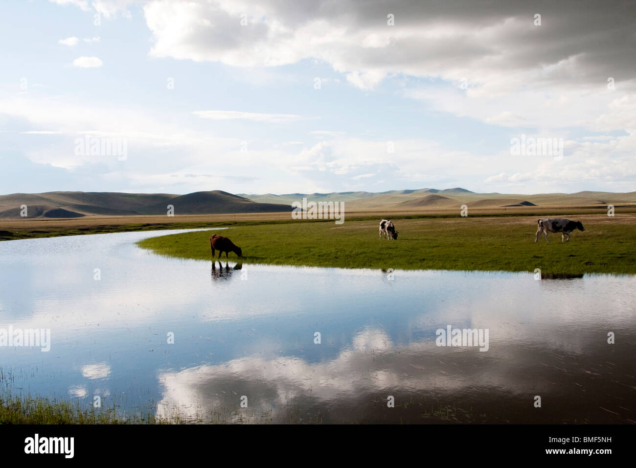 Hulun Buir Grassland, Hailar, Hulunbuir, Inner Mongolia Autonomous ...
