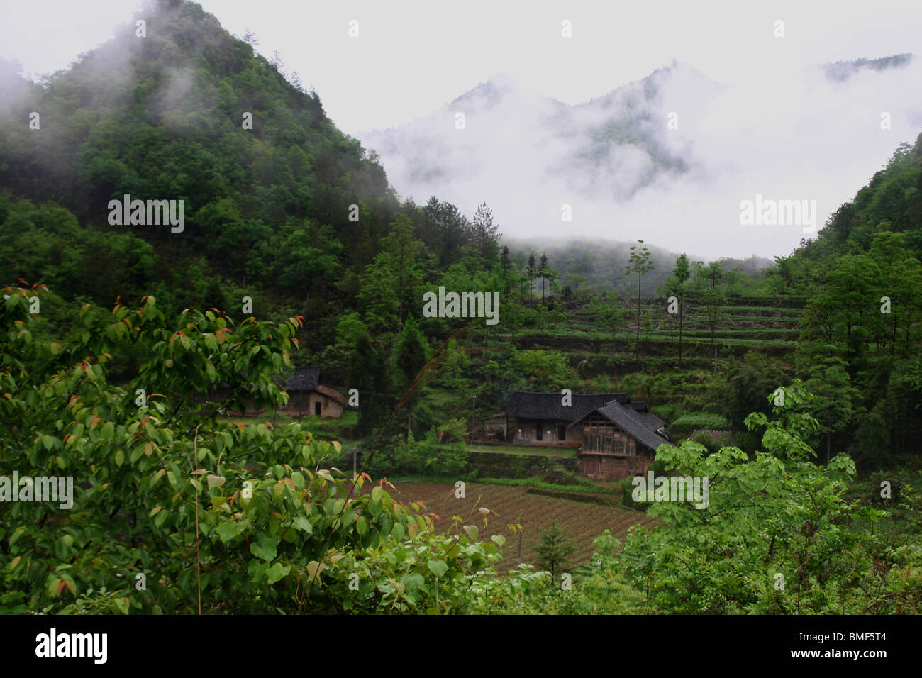 Misty mountains in Hefeng, Enshi Tujia and Miao Autonomous Prefecture ...