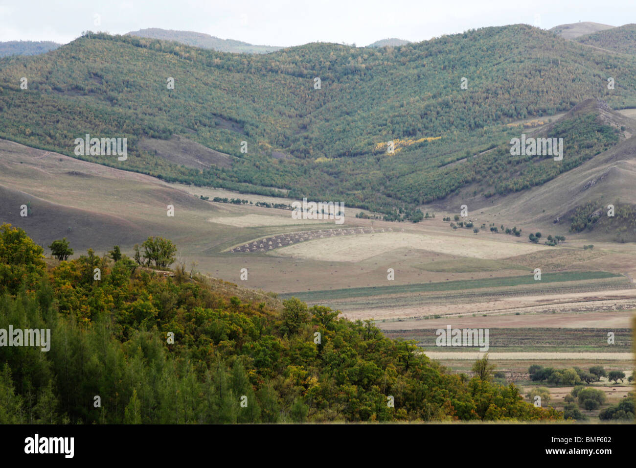 Arxan national forest park hi-res stock photography and images - Alamy
