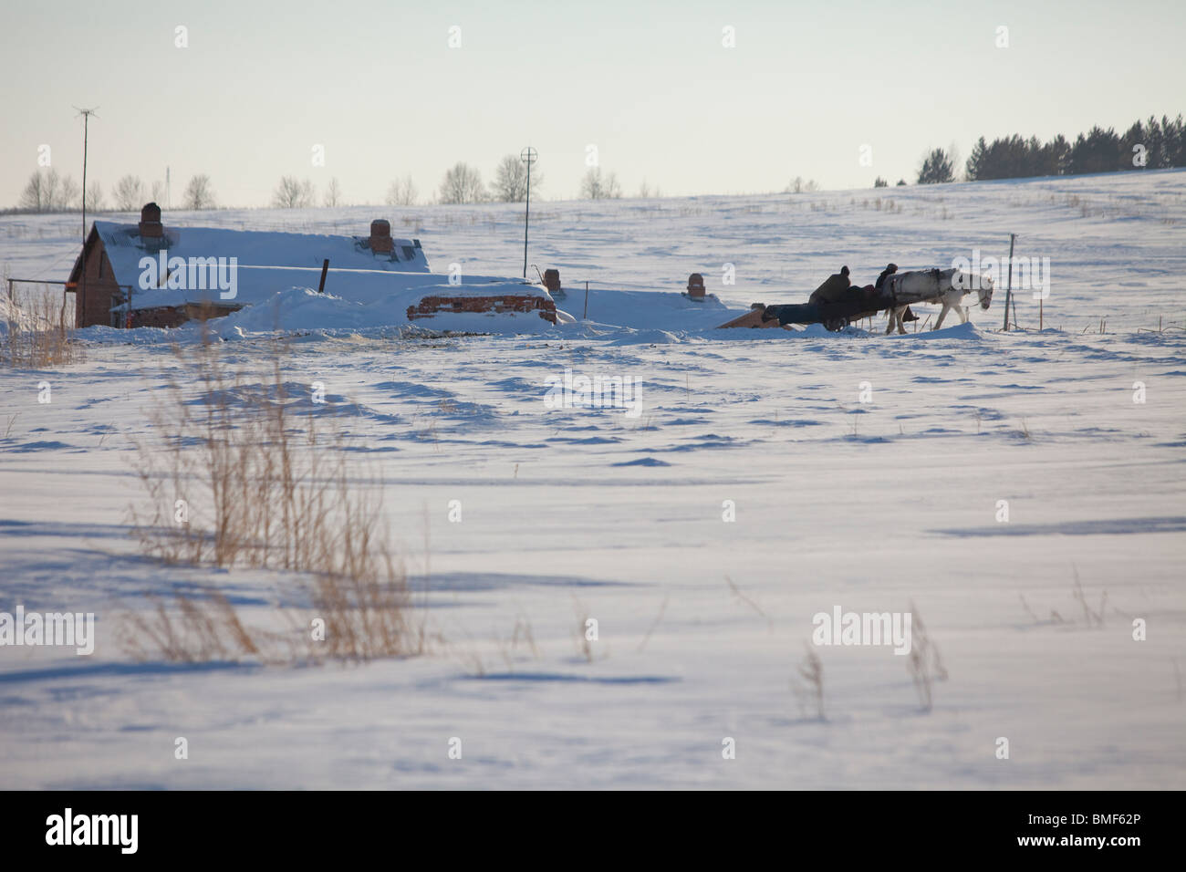 Hulun Buir Grassland in winter, Hailar, Hulunbuir, Inner Mongolia ...