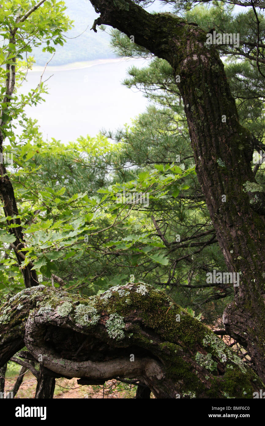 Mudanjiang River, Mudanjiang, Heilongjiang Province, China Stock Photo ...