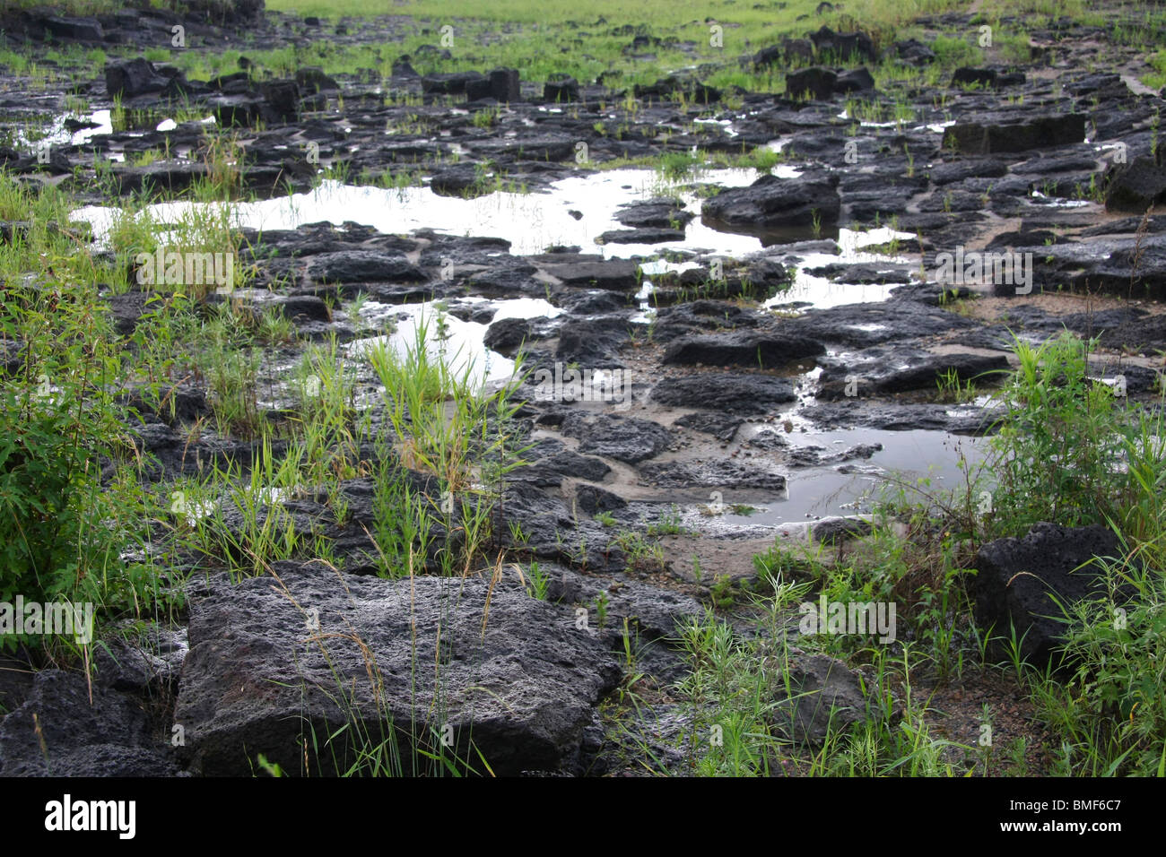 Mudanjiang hi-res stock photography and images - Alamy