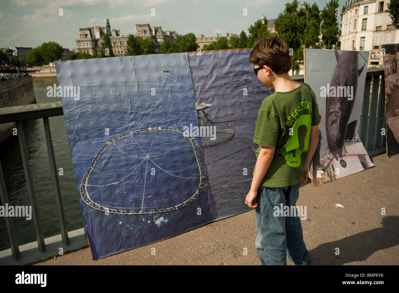 Environmental Activists from Greenpeace Demonstrating Against "Blue Fin ...