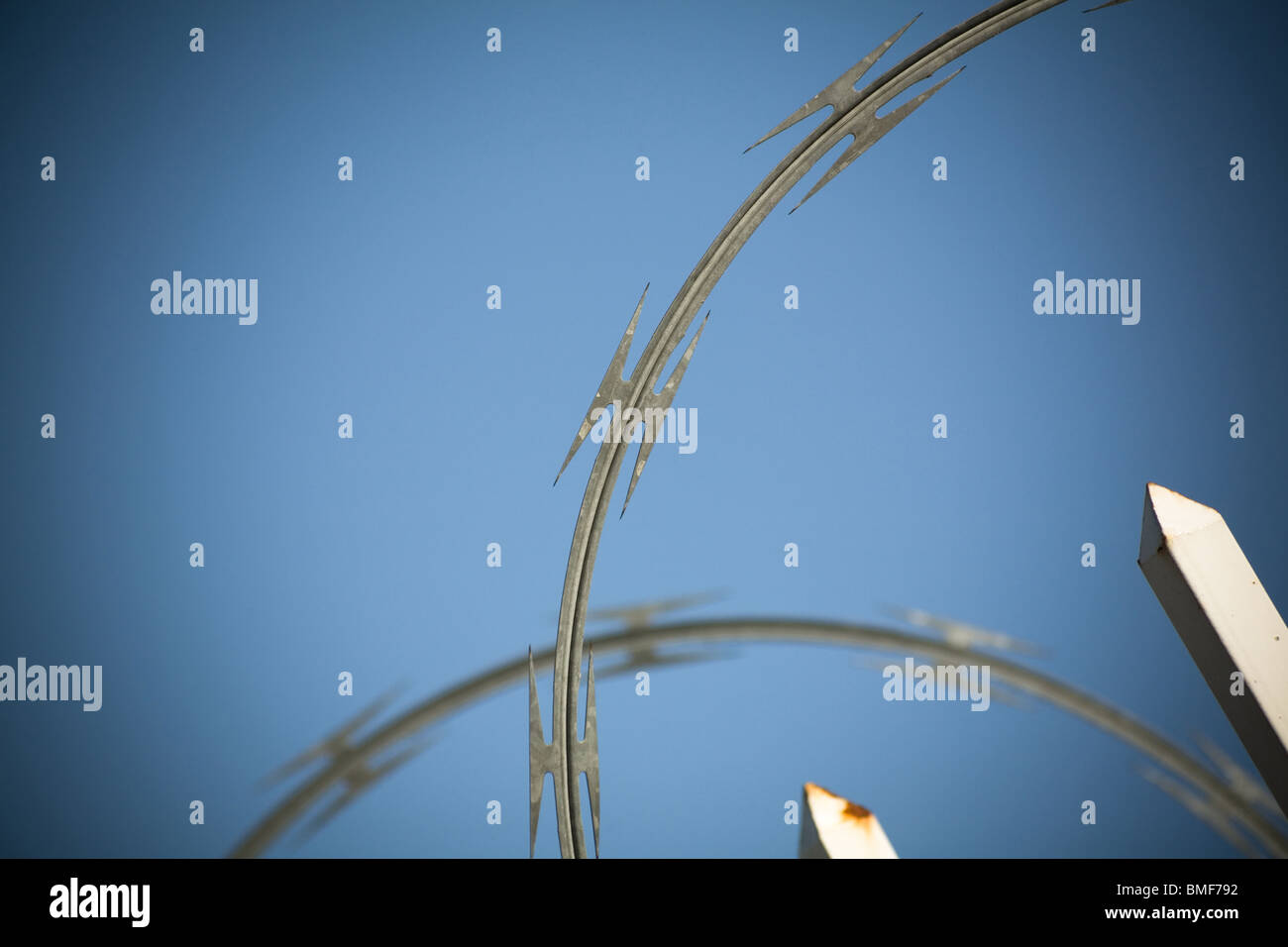 barbed wire netting close up shot Stock Photo - Alamy