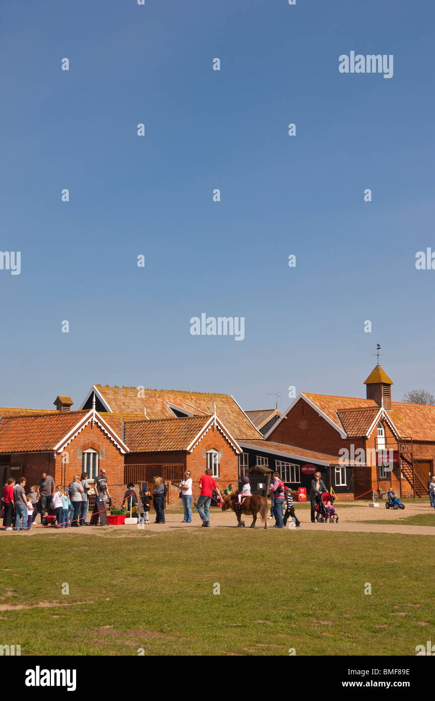 Easton Farm Park in Easton , Woodbridge , Suffolk , England , Great ...