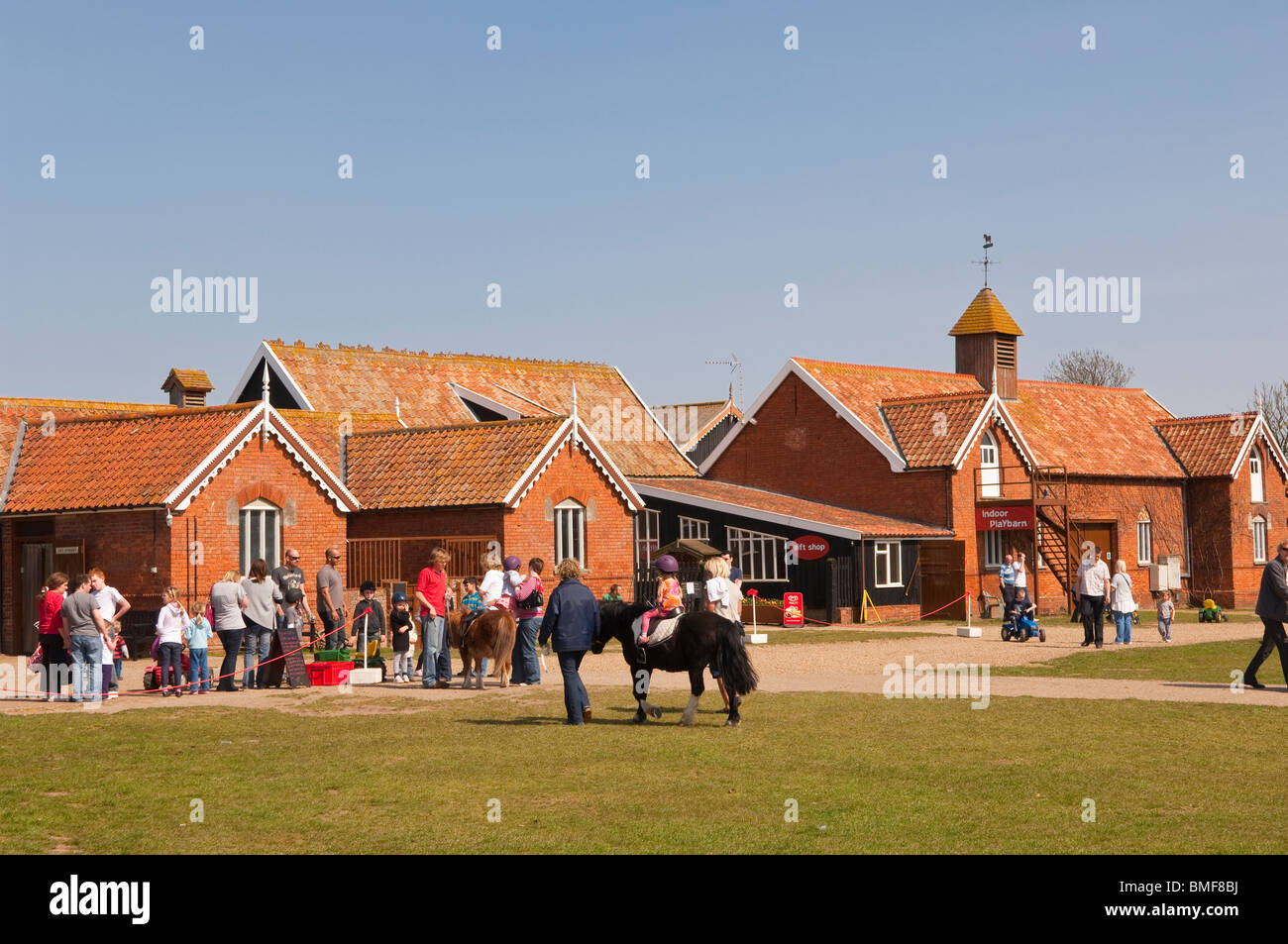 Easton Farm Park in Easton , Woodbridge , Suffolk , England , Great ...