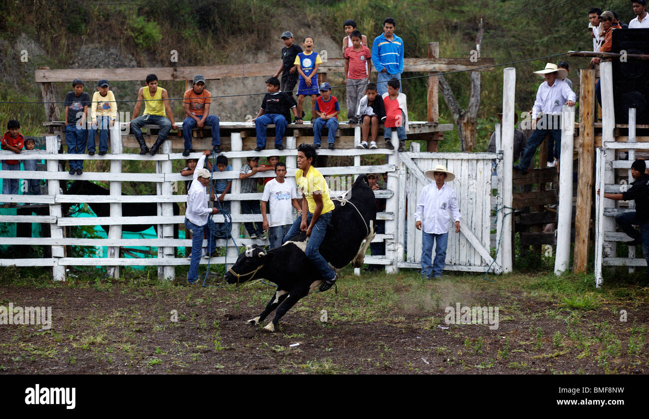 A man rides a bull during a rodeo competition at Vilcabamba in Ecuador ...