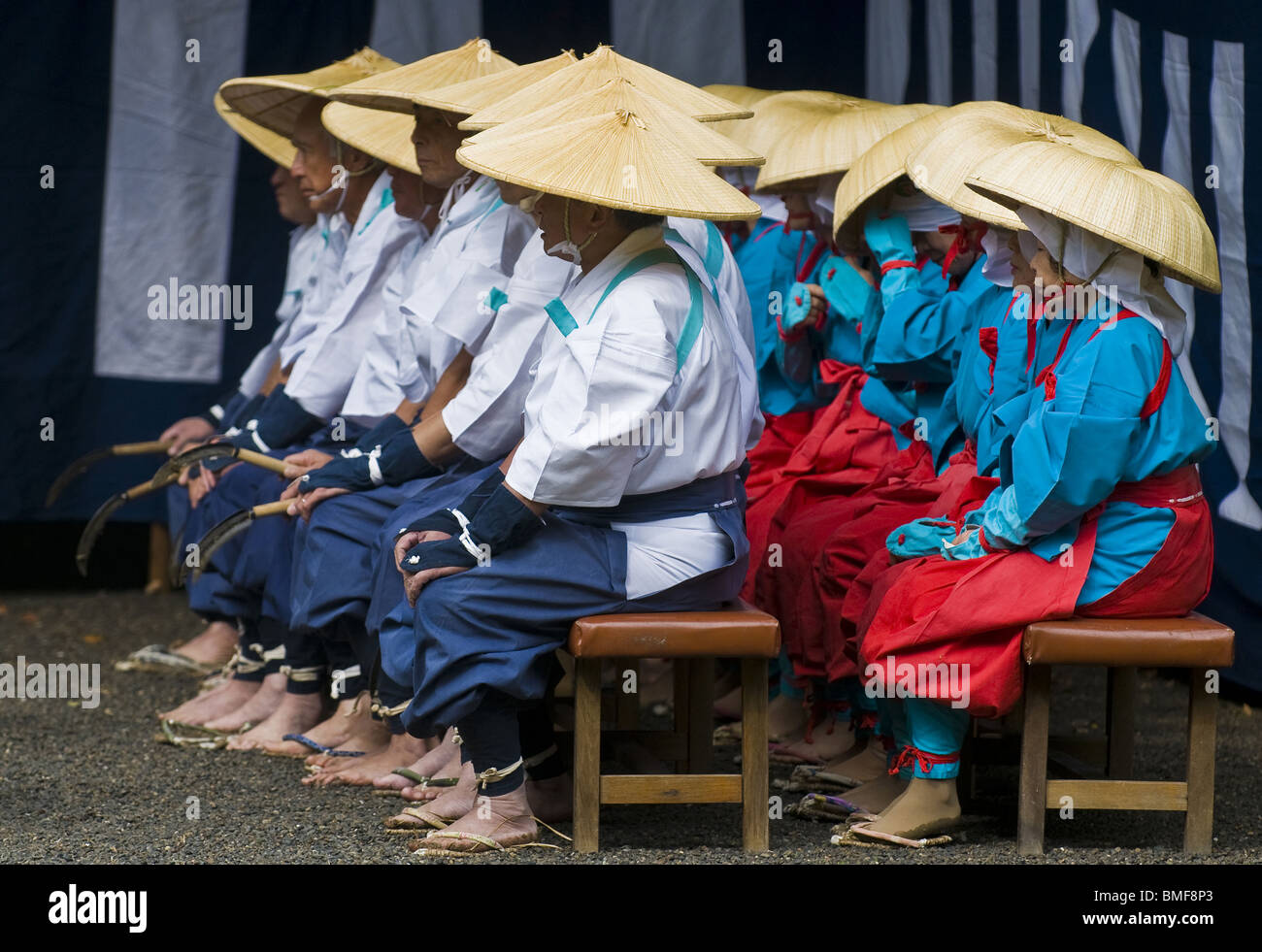 Kyoto, OCT 25: a participants on the rice harvest ceremony held on ...
