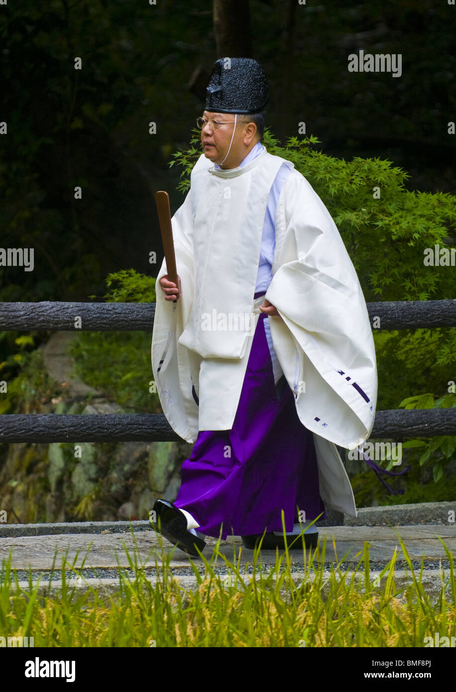 Kyoto, OCT 25: a participant on the rice harvest ceremony held on ...