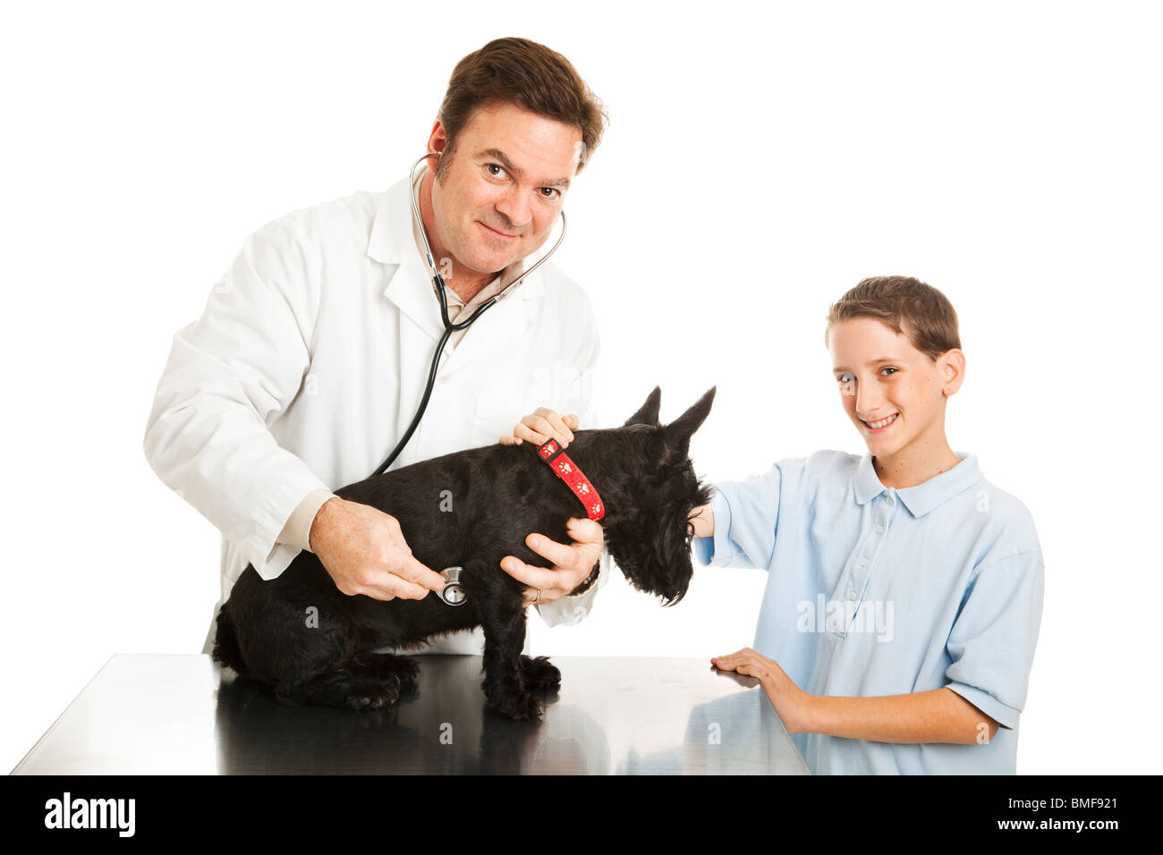 Little boy brings his dog to the vet for a checkup. Isolated on white ... Little boy brings his dog to the vet for a checkup. Isolated on white ...