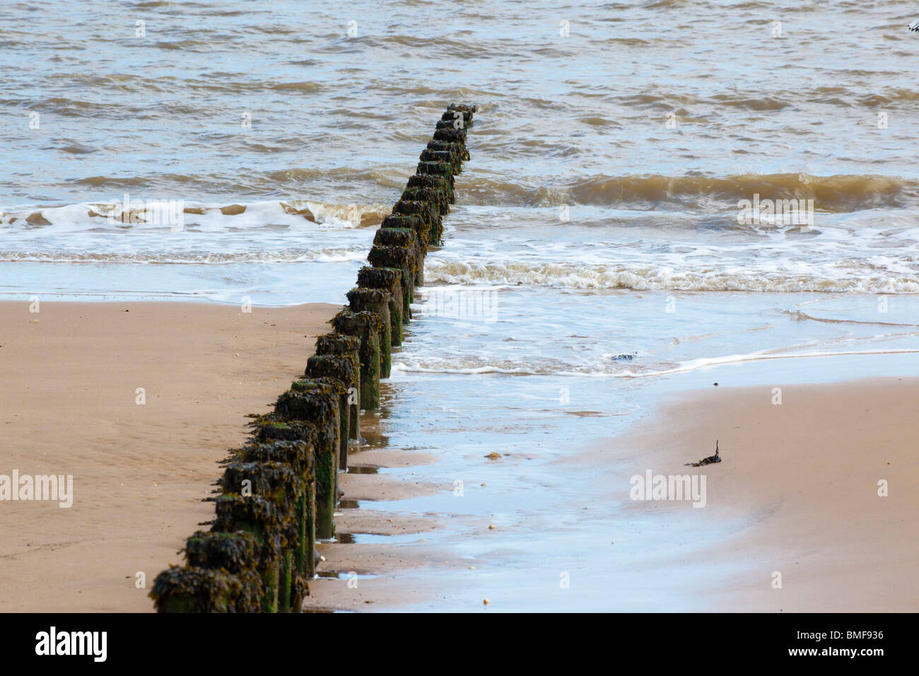 Beach groynes coastal protection hi-res stock photography and images ...