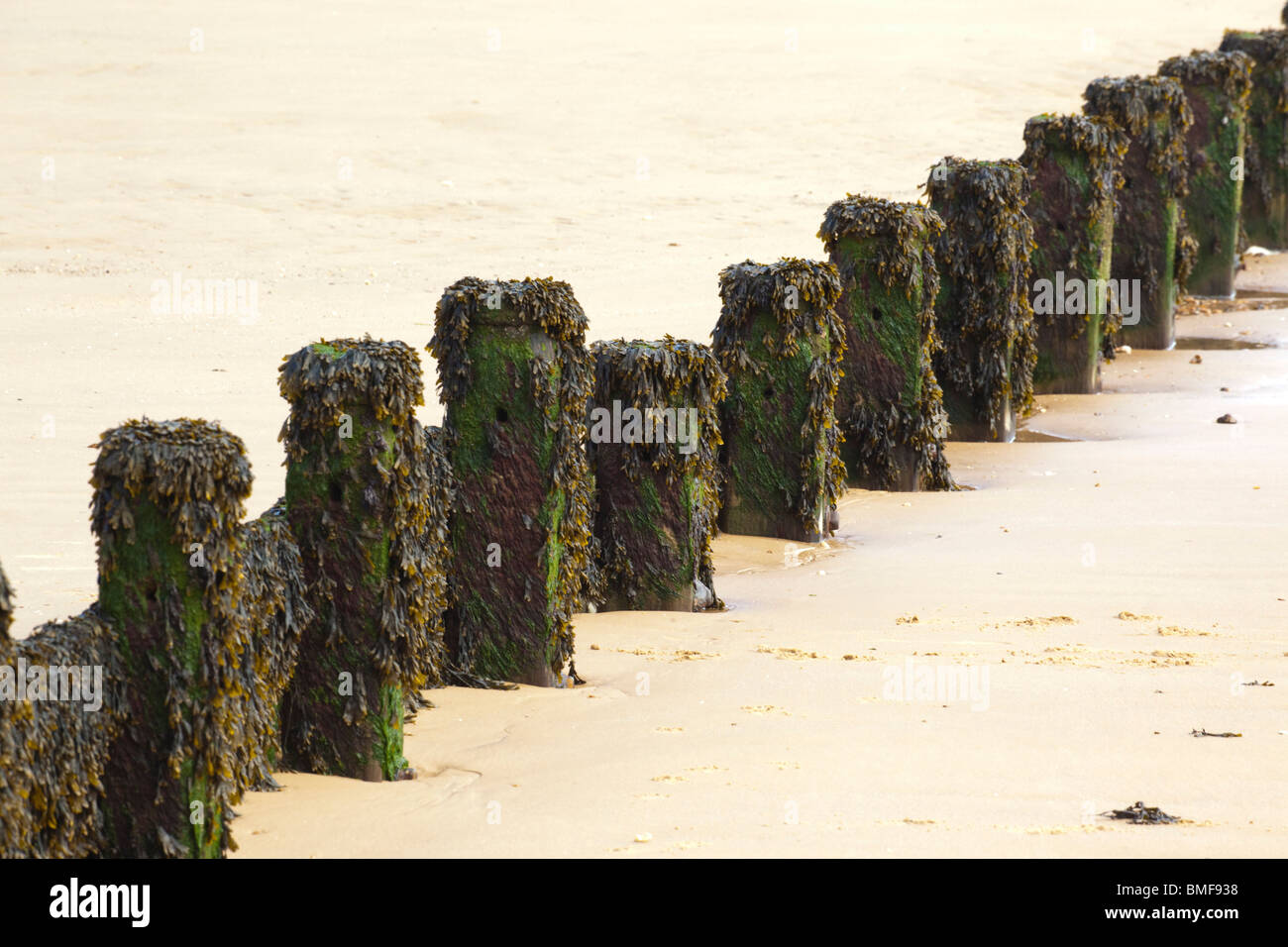 Beach groynes coastal protection hi-res stock photography and images ...