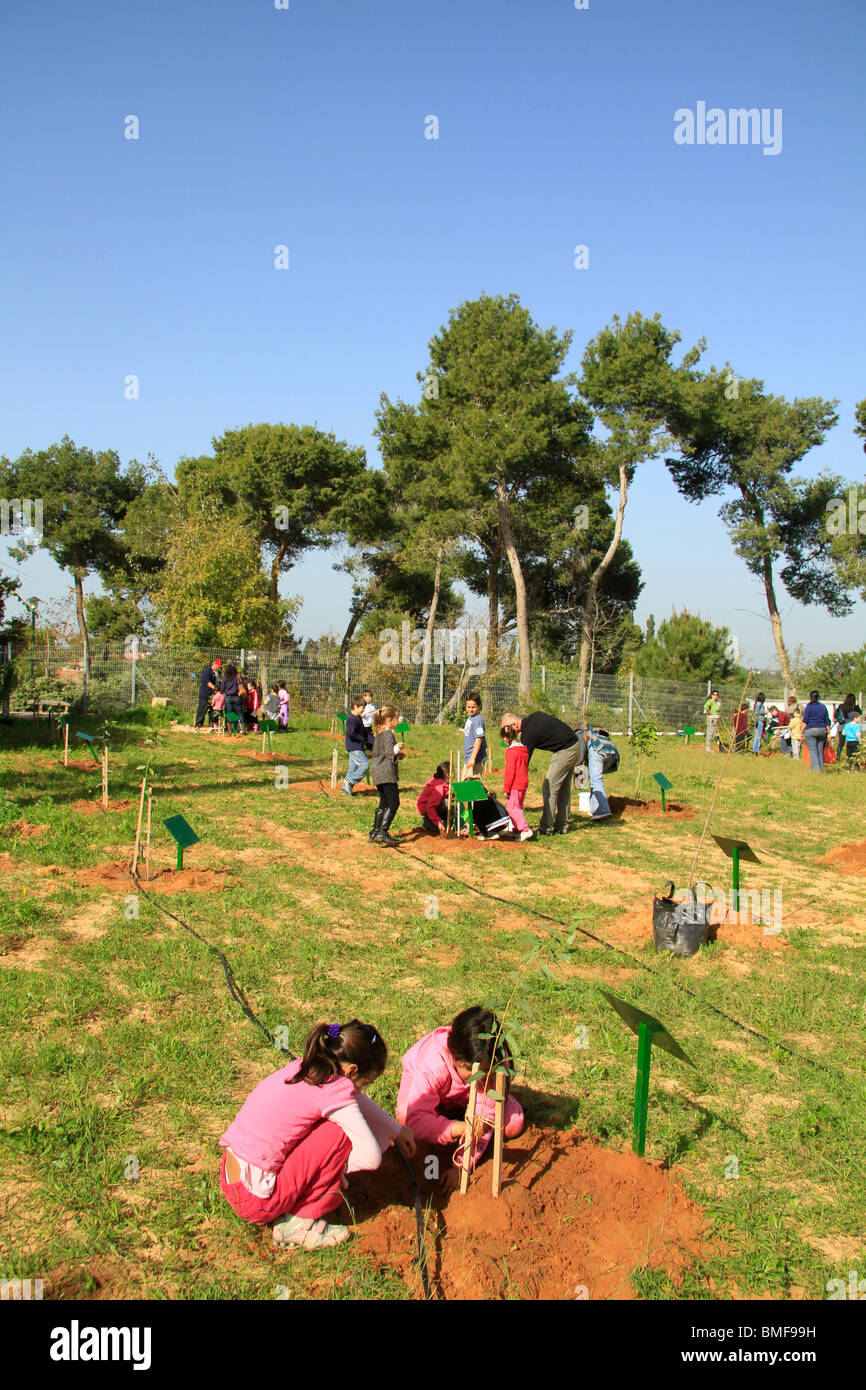 Israel, children planting trees on Tu B'shvat holiday in Herzliya Stock ...