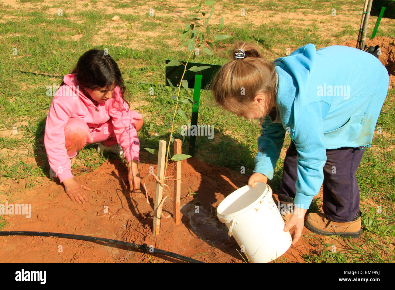 Israel, children planting trees on Tu B'shvat holiday in Herzliya Stock ...