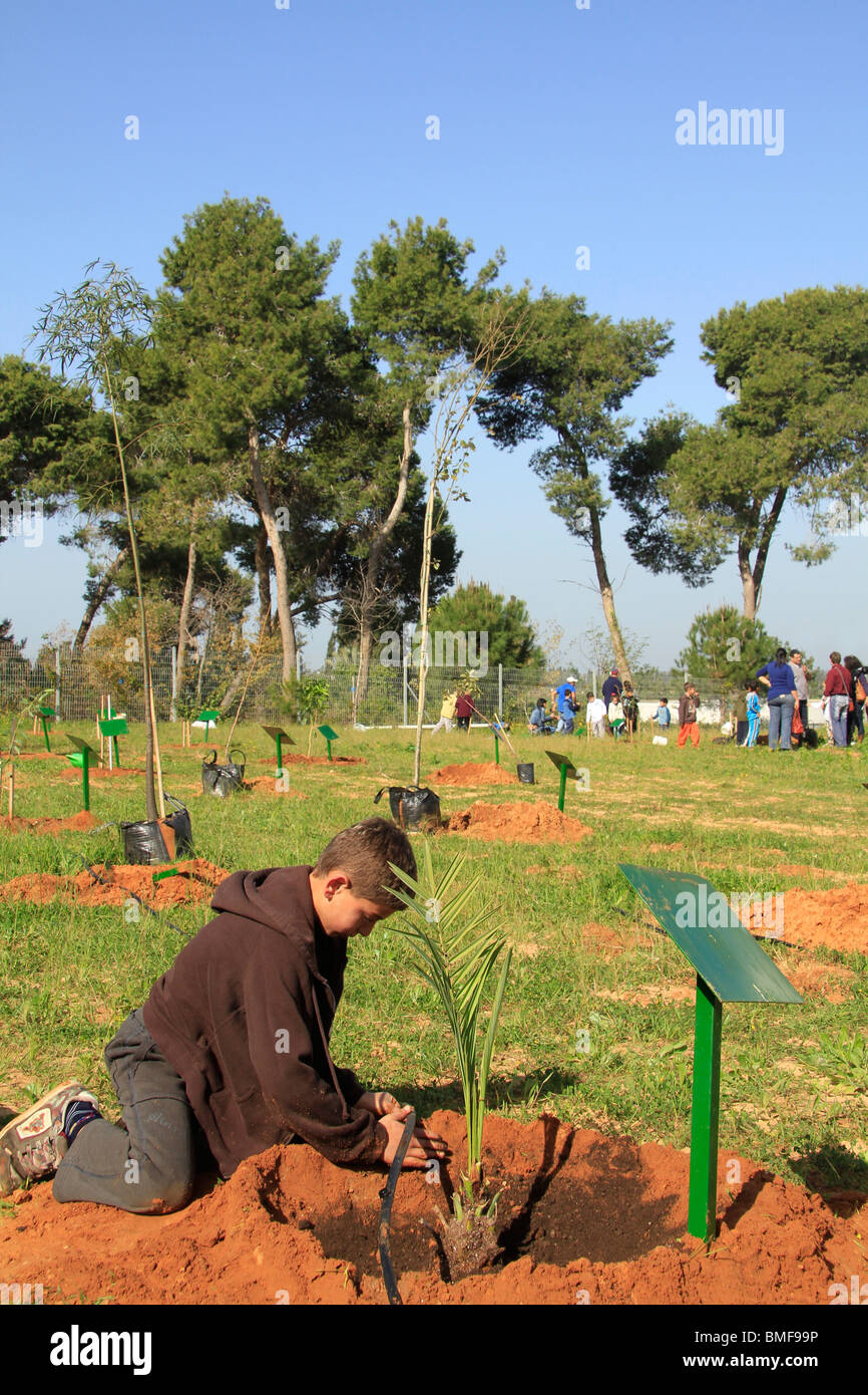 Israel, children planting trees on Tu B'shvat holiday in Herzliya Stock ...