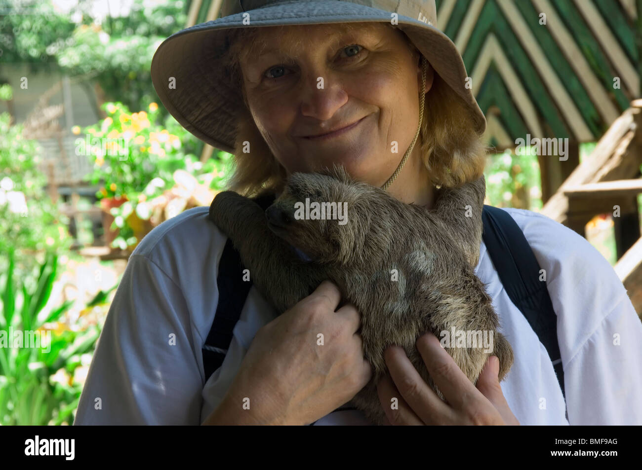 Woman holding a baby Brown-throated Three-toed Sloth in her arms ...