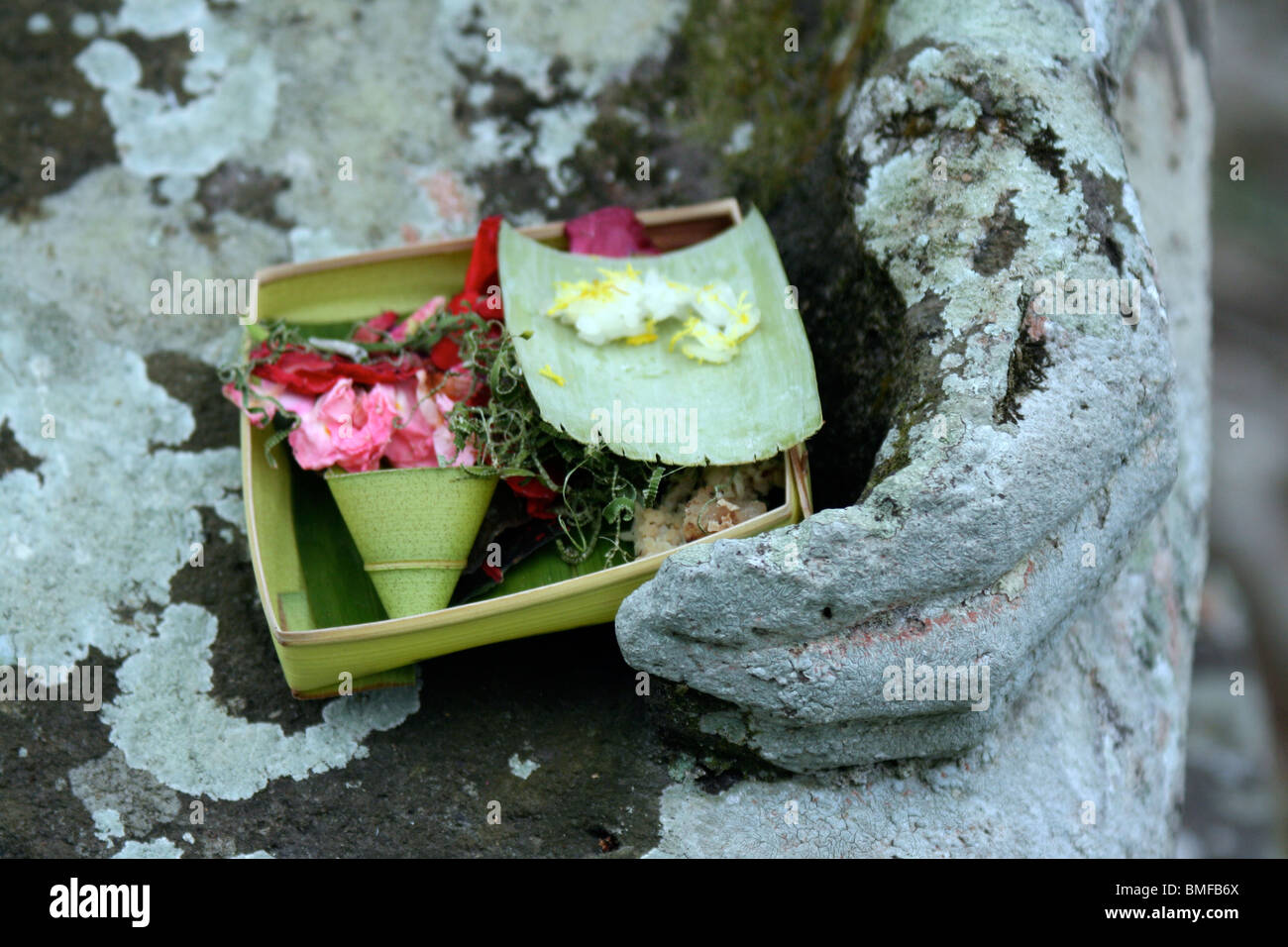 Buddhist offering flowers hi-res stock photography and images - Alamy